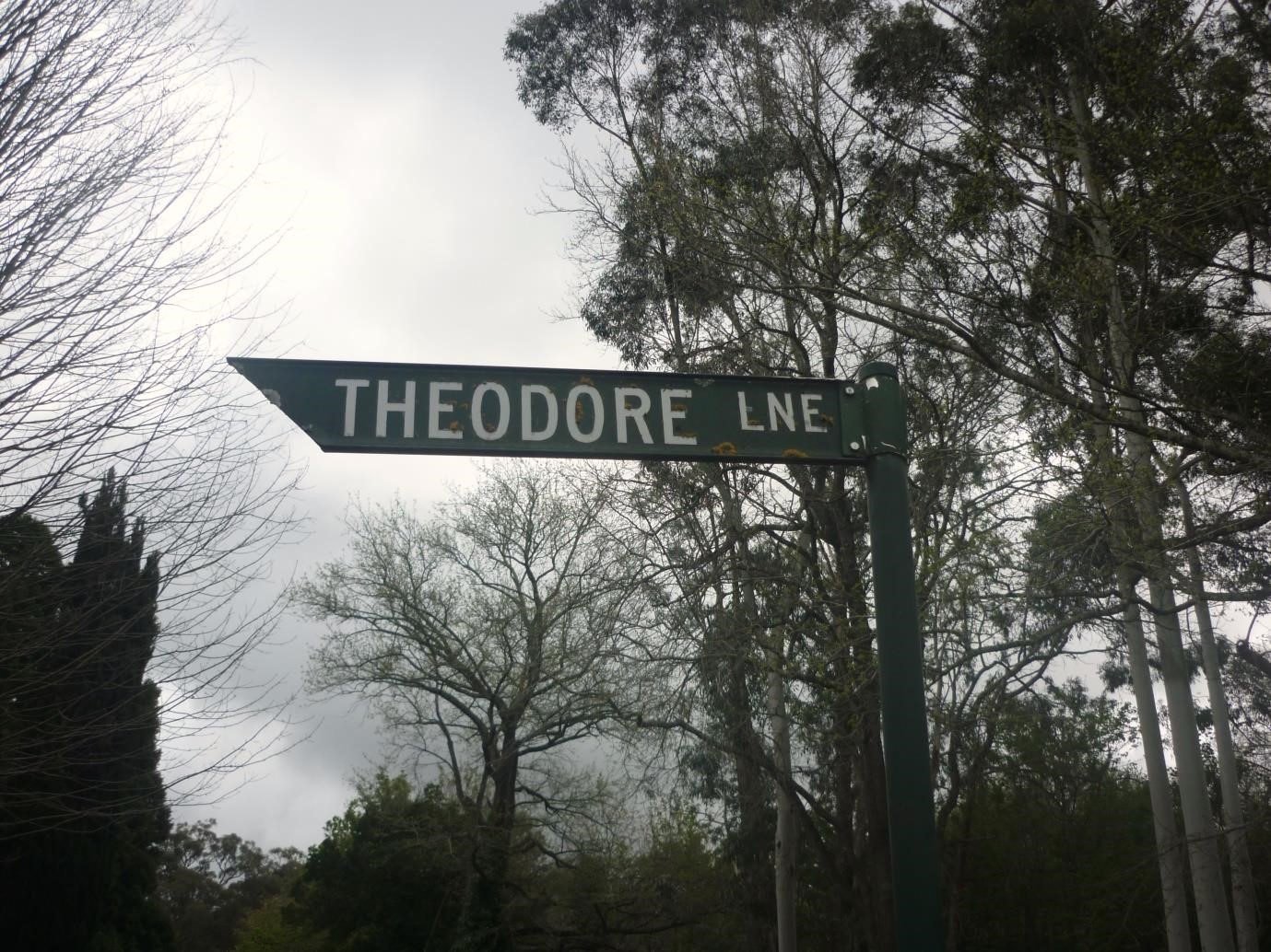 The Teodorescu (Theodore) family of Heathfield & Aldgate – Mount Lofty ...
